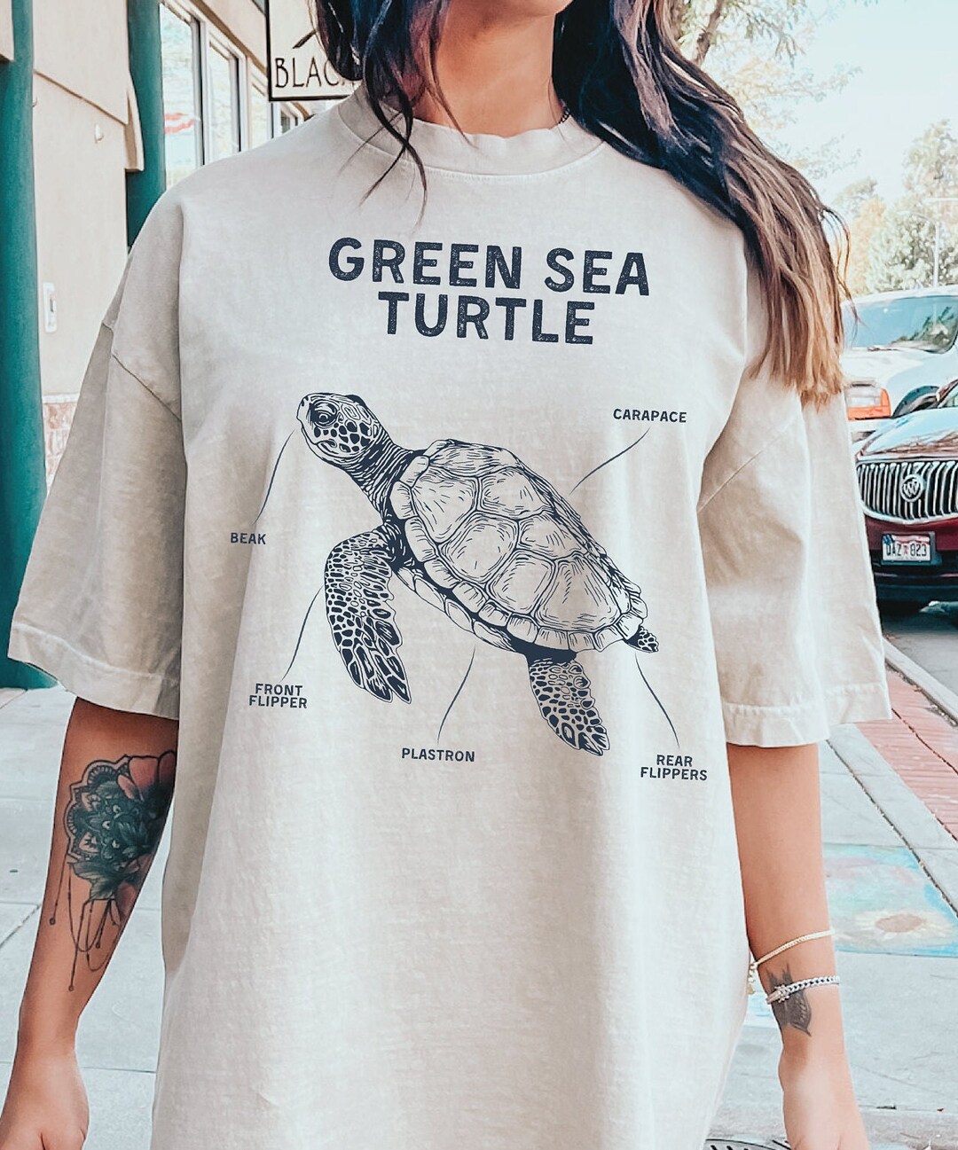 Green Sea Turtle Shirt Sea Turtle Shirt Turtle Anatomy Shirt Marine ...