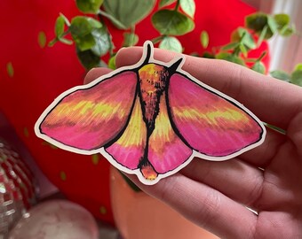 Rosy Maple Moth Sticker - Etsy