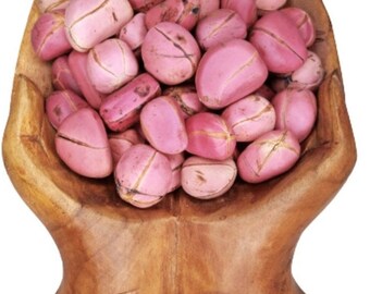 Obi Kola, Obi Abata, Cola Nitida, Kolanut - 4 Lobed (6 Pieces) - Etsy