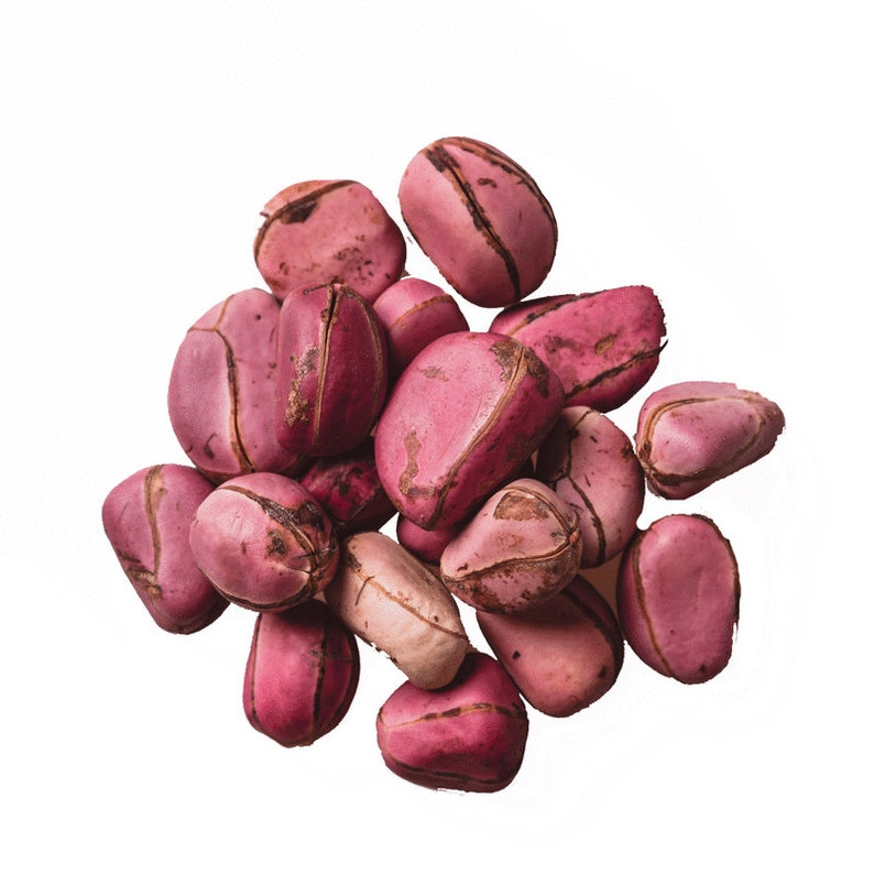 Obi Kola, Obi Abata, Cola Nitida, Kolanut - 4 Lobed (6 Pieces) - Etsy