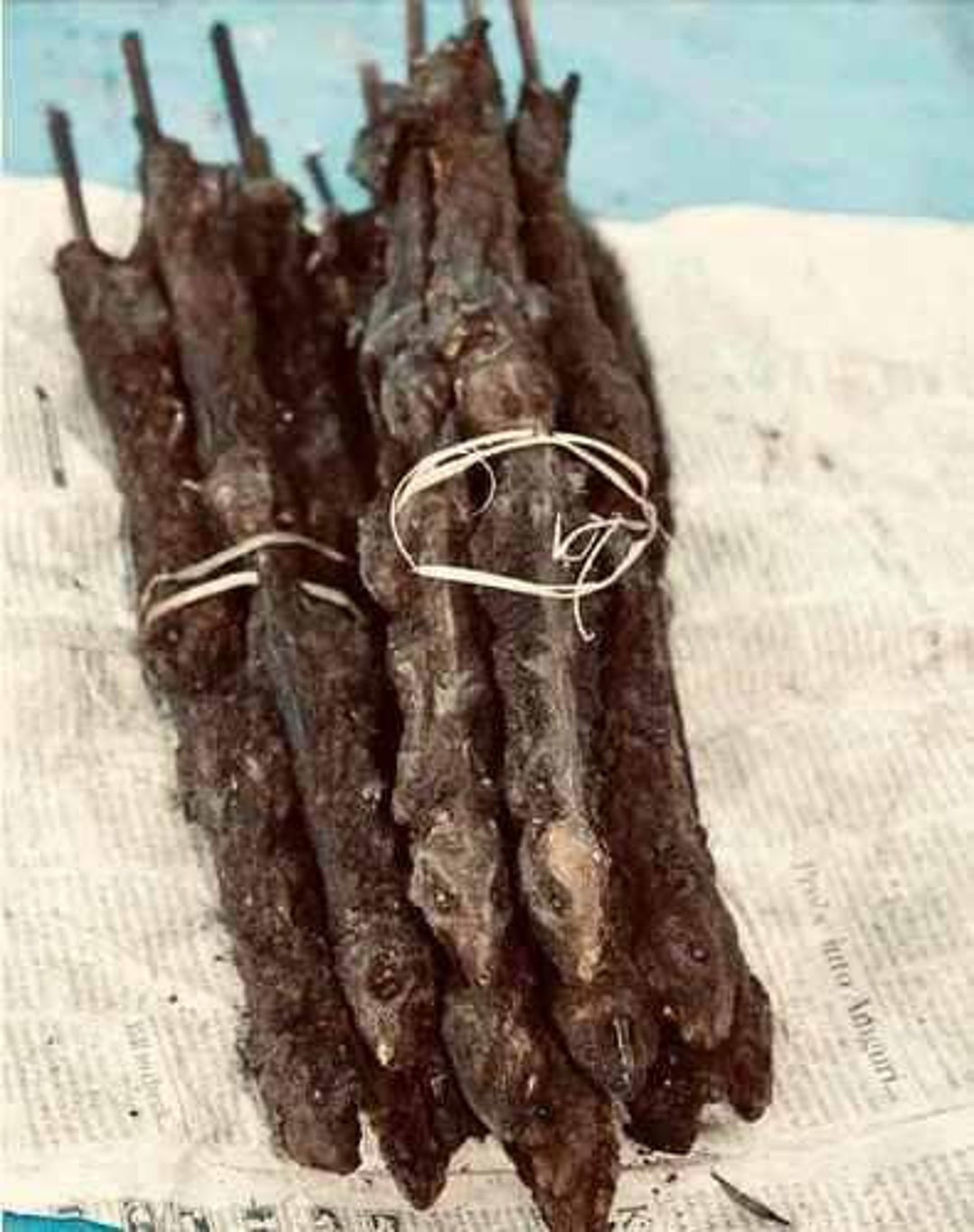 EKU IFA / Dried Rat for Elegua / IFA (single Piece) - Etsy