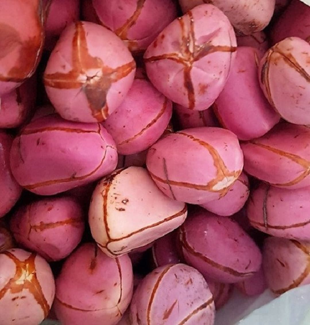 Obi Kola, Obi Abata, Cola Nitida, Kolanut - 4 Lobed (6 Pieces) - Etsy