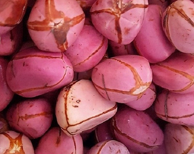 Obi Kola, Obi Abata, Cola Nitida, Kolanut - 4 Lobed (6 Pieces) - Etsy