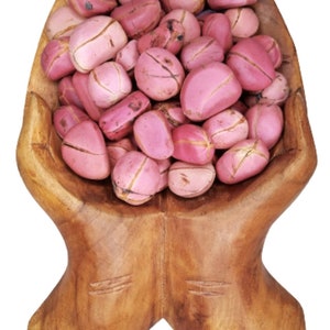 Obi Kola, Obi Abata, Cola Nitida, Kolanut - 4 Lobed (6 Pieces) - Etsy