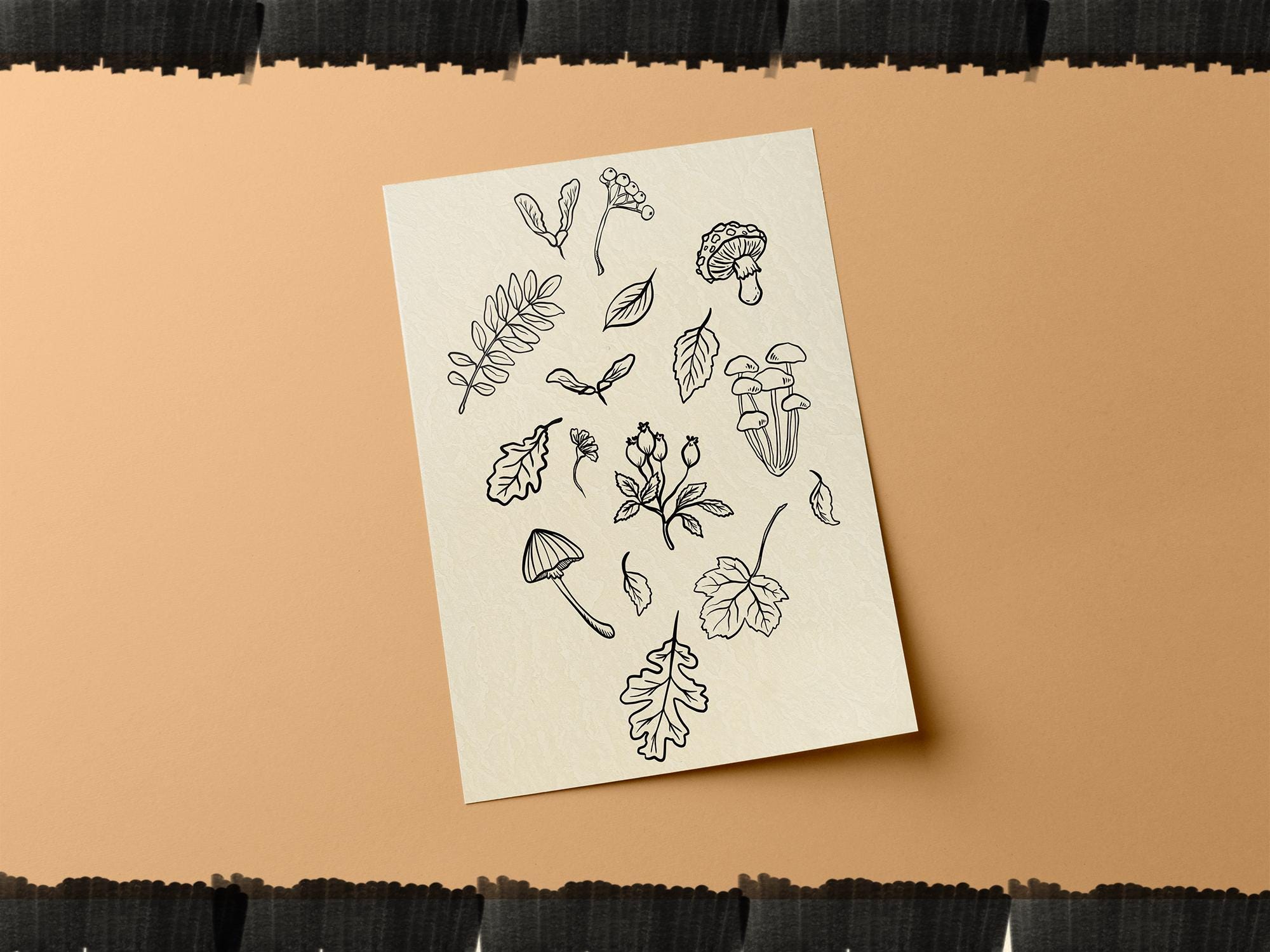 Fall Autumn Line Art Clipart | Hand Drawn Vector | Autumn Fine Line ...