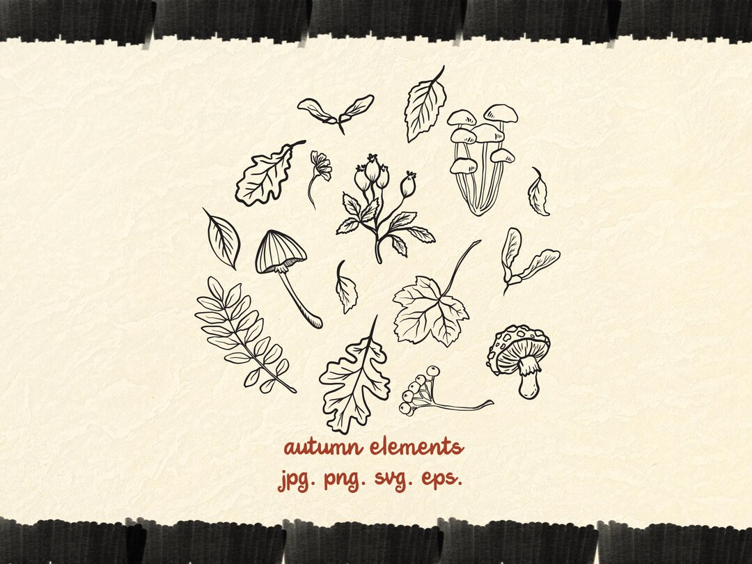 Fall Autumn Line Art Clipart Hand Drawn Vector Autumn Fine Line Outline ...