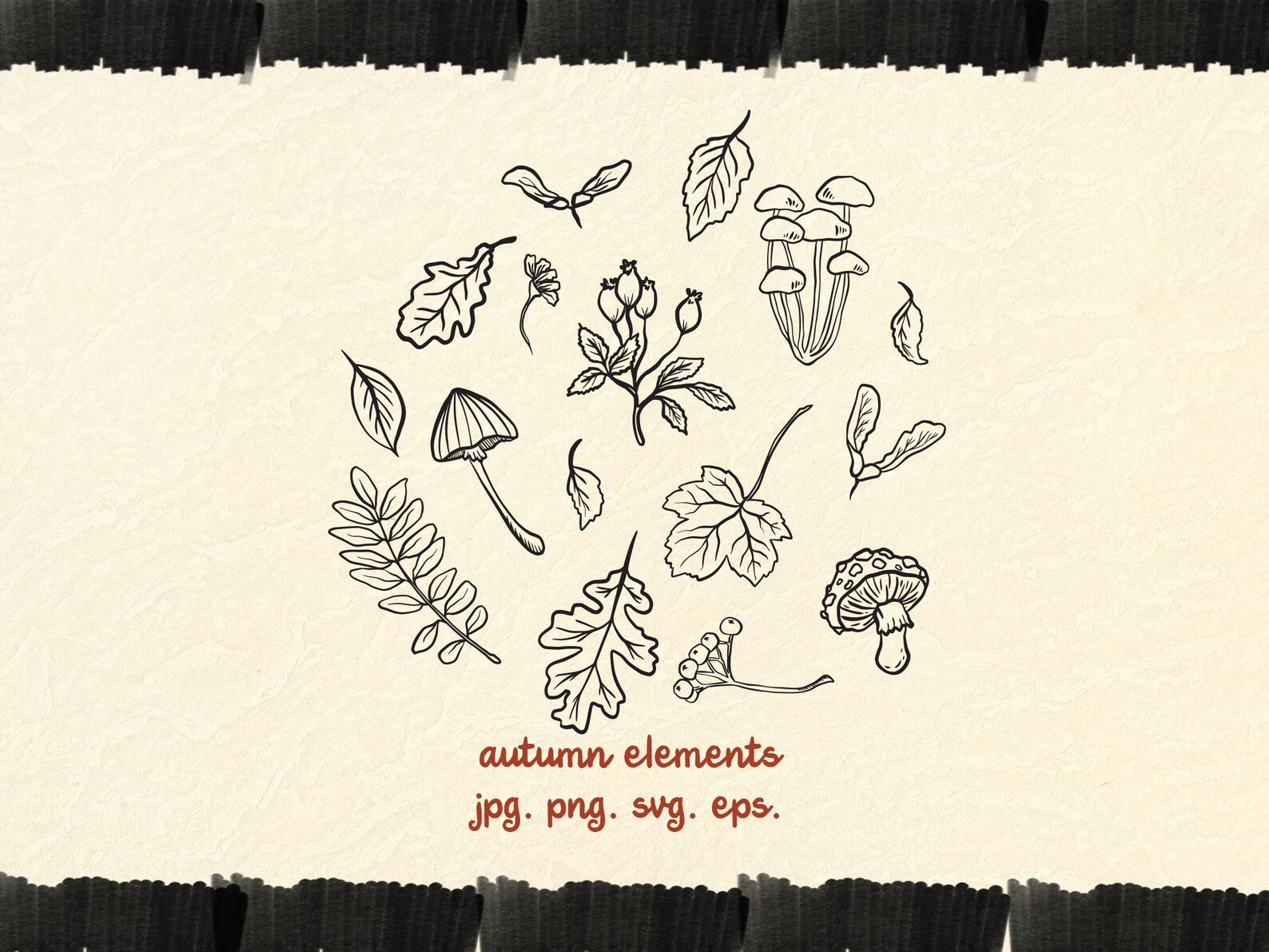 Fall Autumn Line Art Clipart Hand Drawn Vector Autumn Fine Line Outline ...