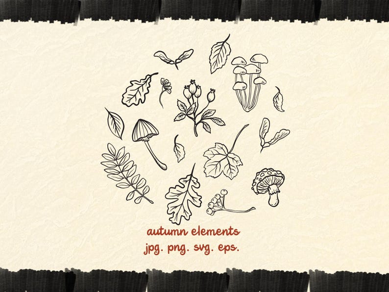 Fall Autumn Line Art Clipart | Hand Drawn Vector | Autumn Fine Line ...