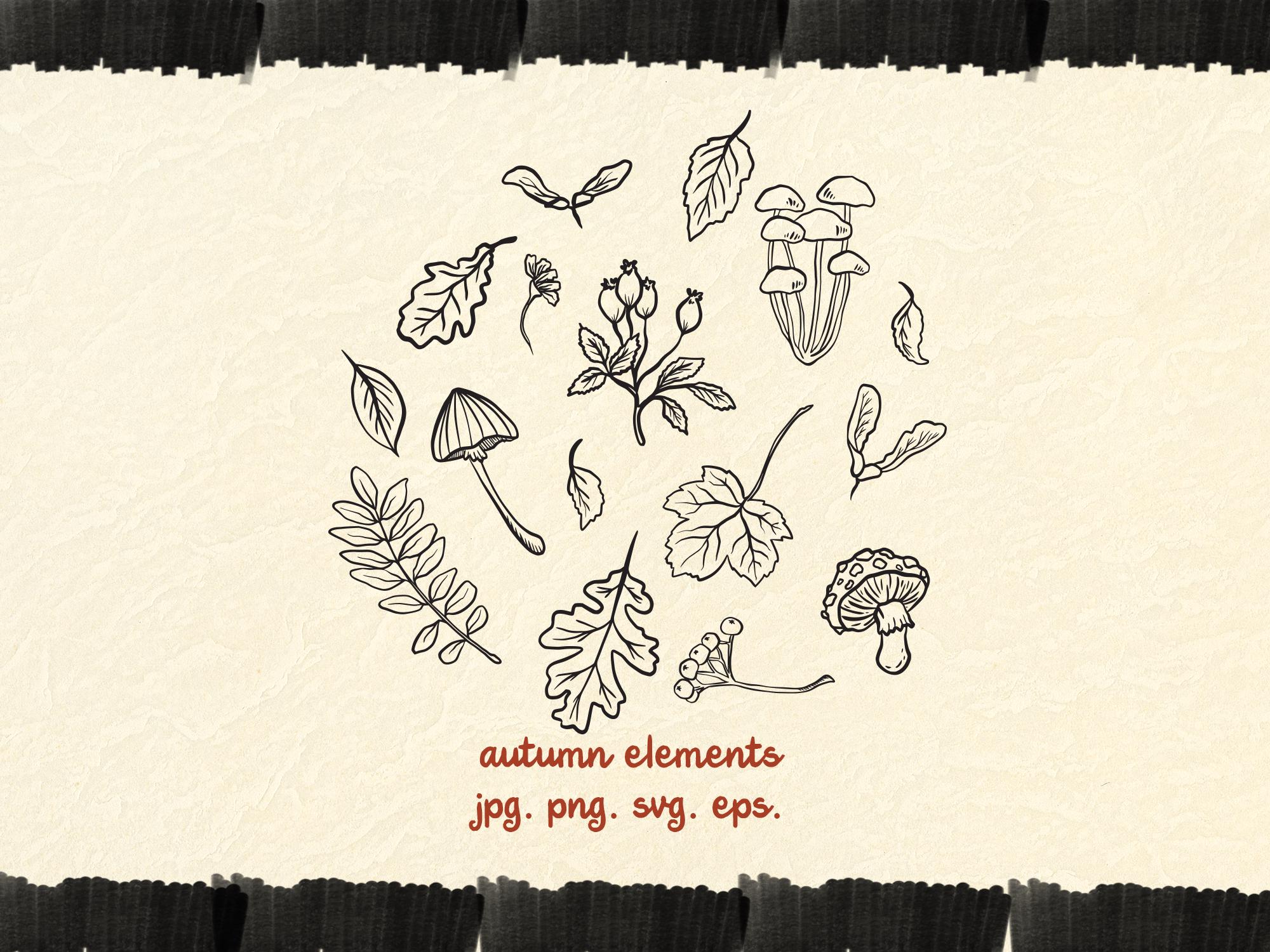 Fall Autumn Line Art Clipart | Hand Drawn Vector | Autumn Fine Line ...
