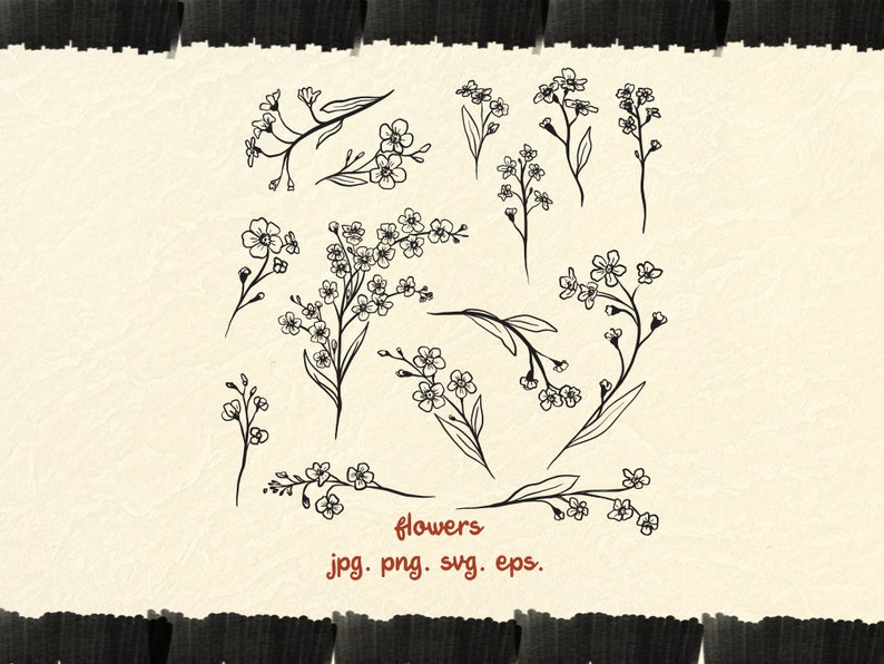 Hand Drawn Forget-me-not SVG, Flowers SVG, Doodle Flowers, Flowers Clip ...
