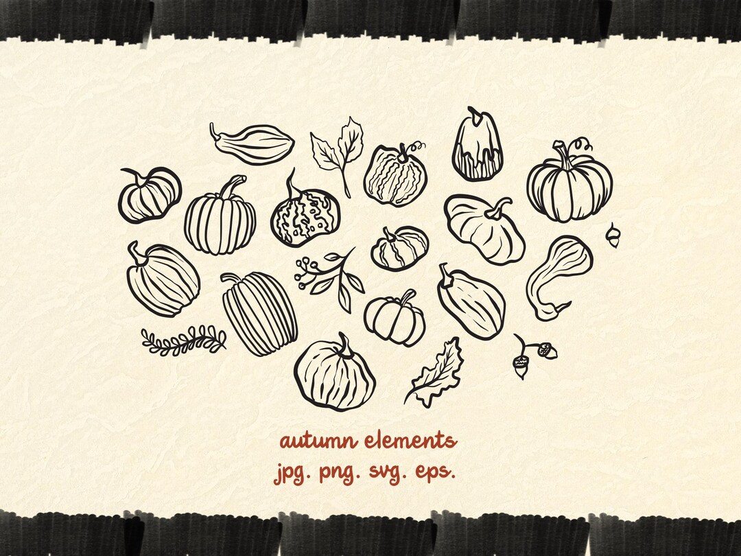 Autumn Pumpkin Line Art Clipart | Fall Vector Illustration (digital ...