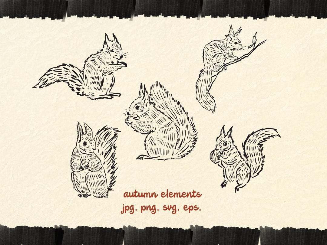 Squirrel Line Art Clipart | Fall Hand Drawn Vector | Squirrel Fine Line ...