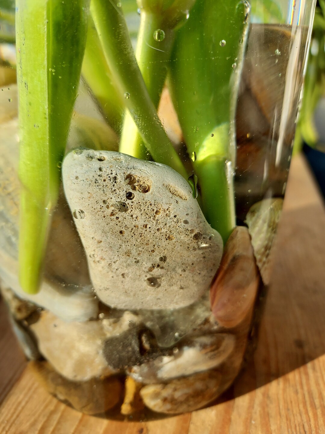 Sea Shell, Sea Stone,sea Shells Flower Vase, Mothers Day/birthday ...