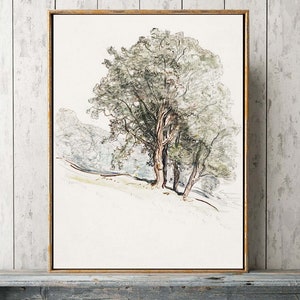 Vintage Tree Wall Art Neutral Sketch | Antique Nature Drawing Digital ...