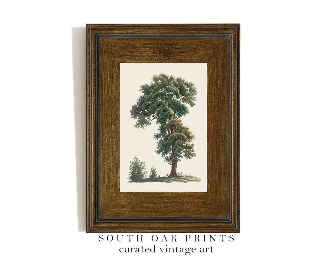 Oak Tree and Rose Bush Print Vintage Botanical Digital - Etsy