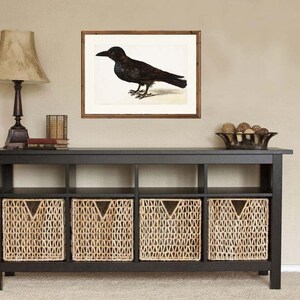 Vintage Bird Print | DIGITAL PRINTABLE Antique Bird Illustration ...