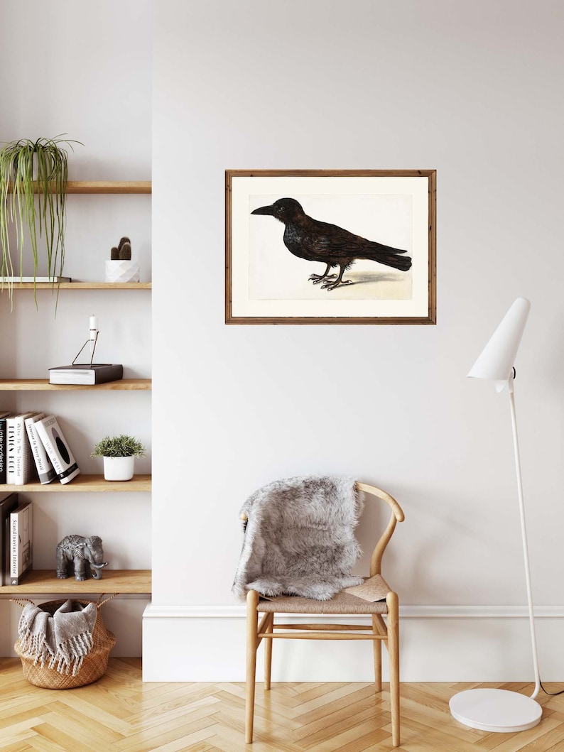Vintage Bird Print | DIGITAL PRINTABLE Antique Bird Illustration ...
