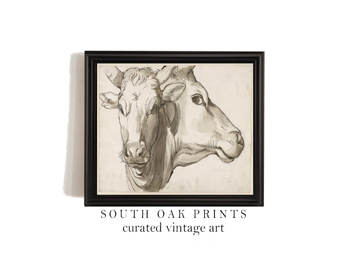 Vintage Rustic Cow Print | Antique Farm Animal Drawing Wall Decor ...