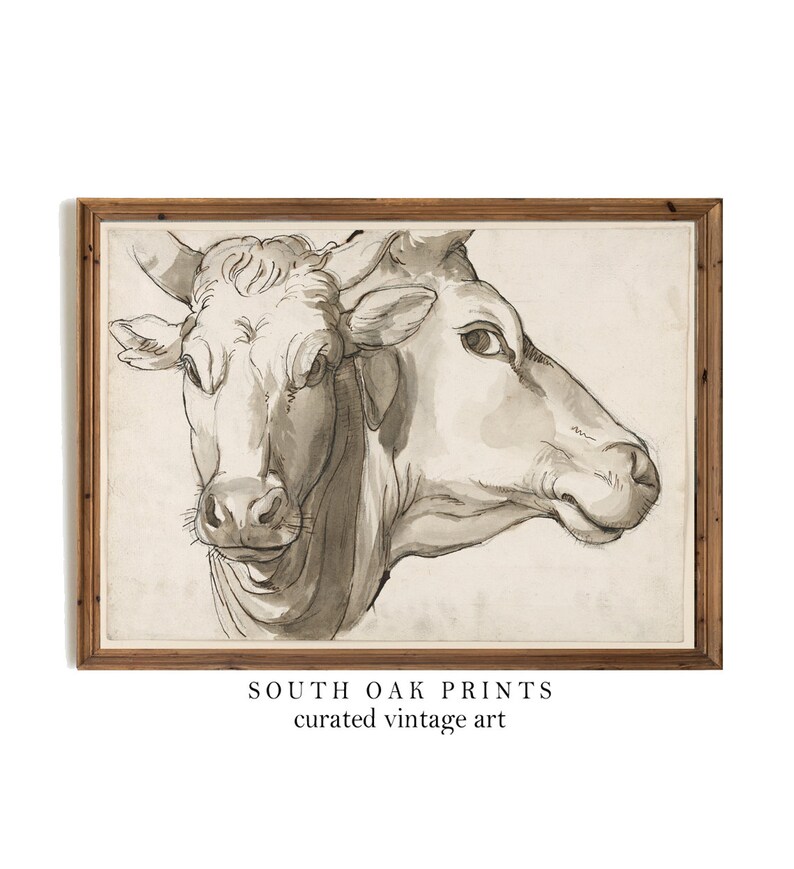 Vintage Rustic Cow Print | Antique Farm Animal Drawing Wall Decor ...