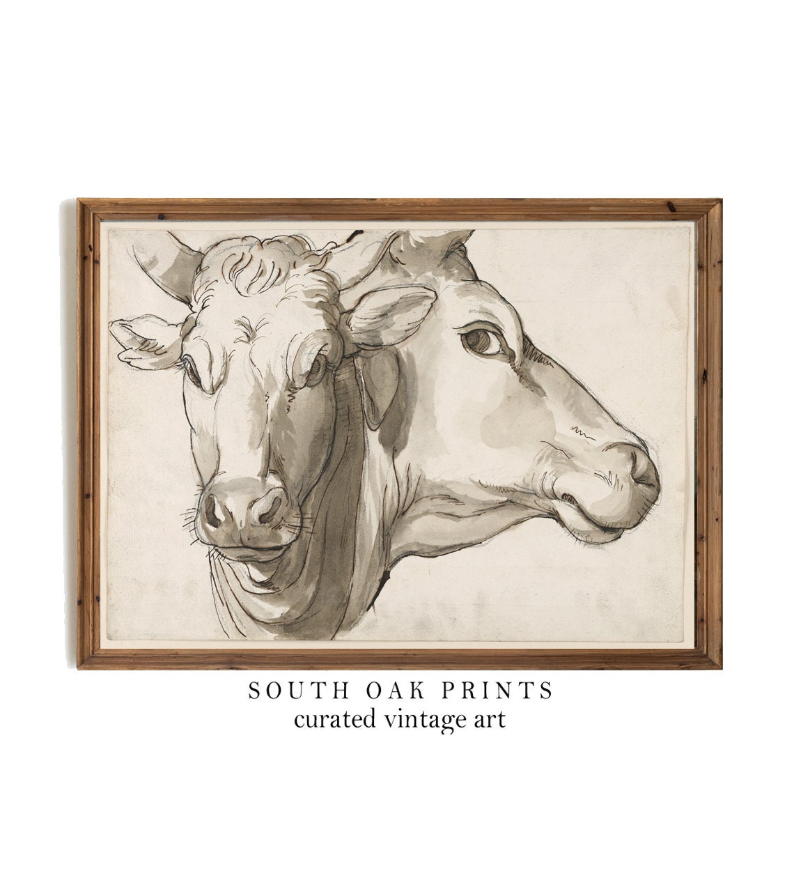Vintage Rustic Cow Print | Antique Farm Animal Drawing Wall Decor ...