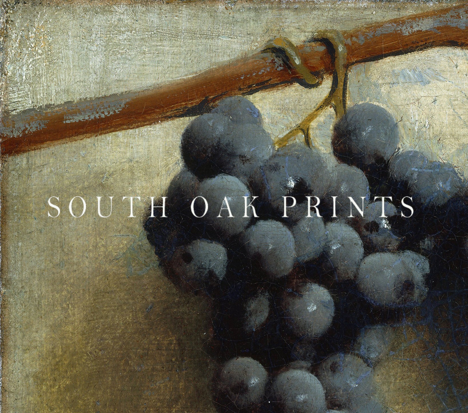 Vintage Grapes Wall Art Print | PRINTABLE | DIGITAL DOWNLOAD | Antique ...