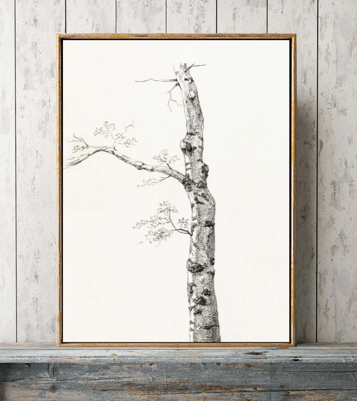 Neutral Antique Pine Tree Drawing | Vintage Sketch Art | Soft Wall Art ...