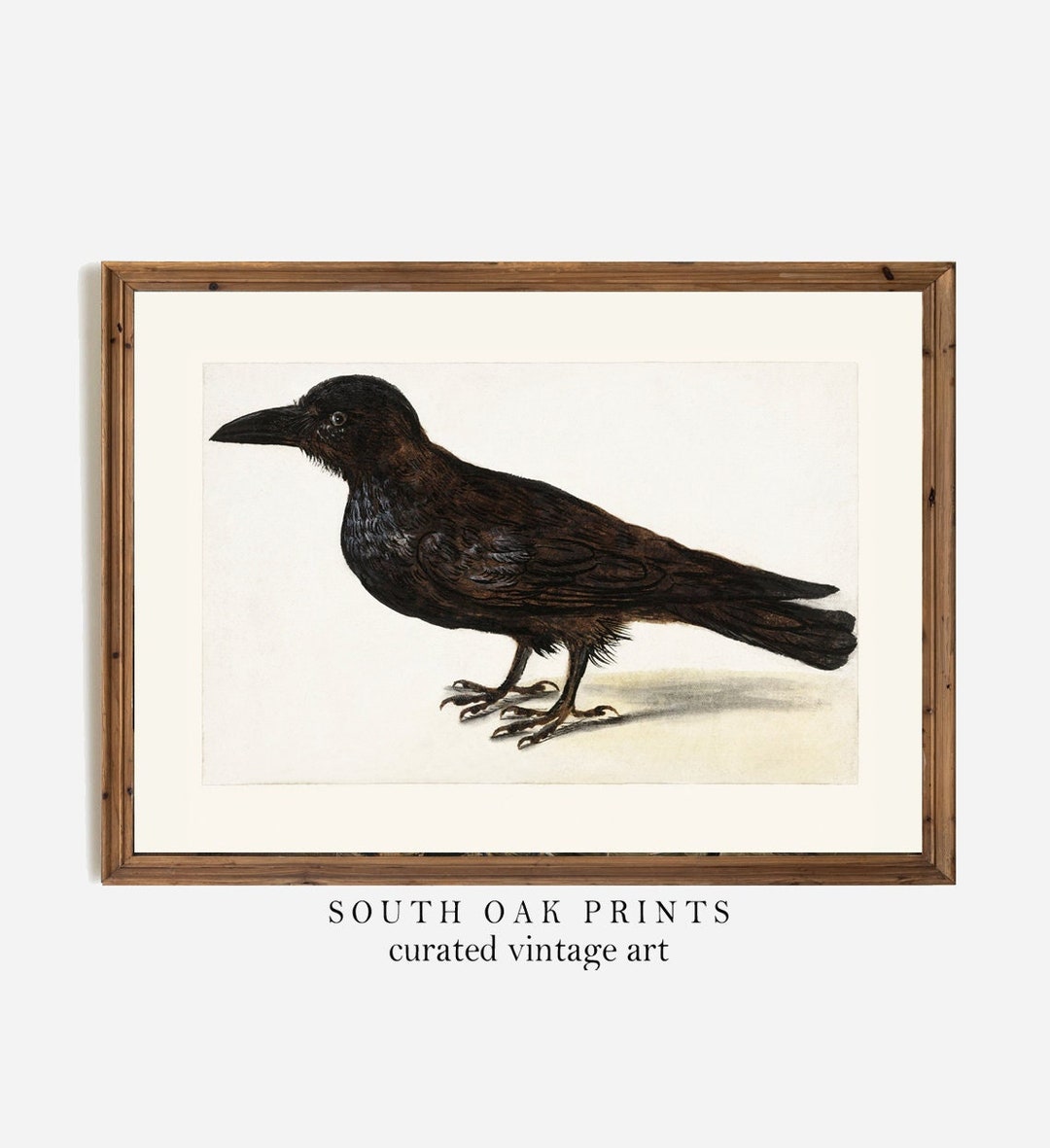 Vintage Bird Print | DIGITAL PRINTABLE Antique Bird Illustration ...