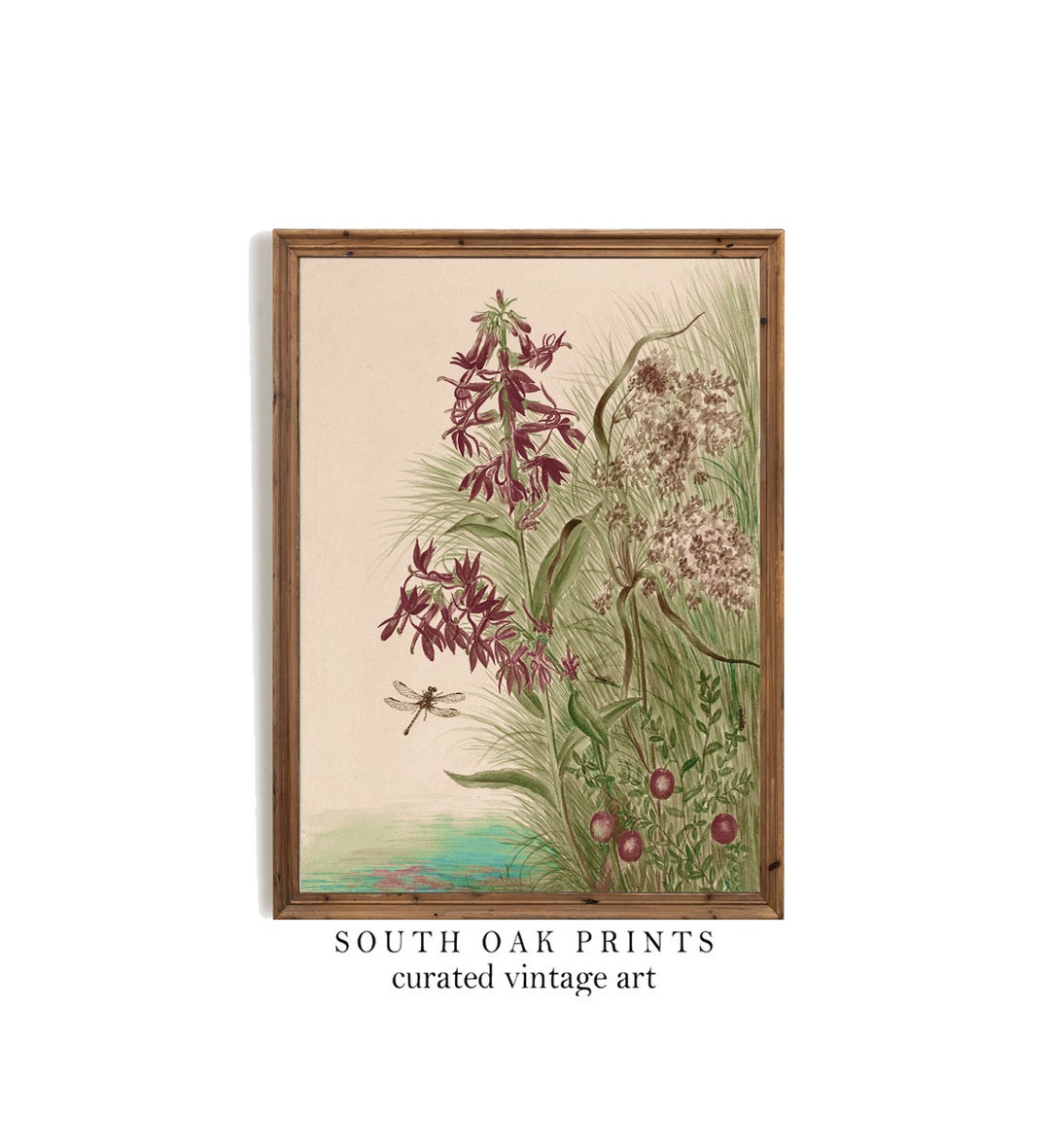 Cardinal Flower Vintage Botanical Print | Dragonfly Floral Nature ...