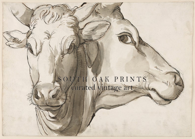 Vintage Rustic Cow Print | Antique Farm Animal Drawing Wall Decor ...