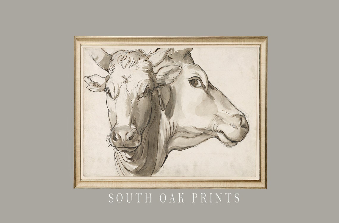 Vintage Rustic Cow Print | Antique Farm Animal Drawing Wall Decor ...