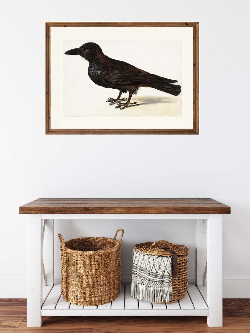 Vintage Bird Print | DIGITAL PRINTABLE Antique Bird Illustration ...