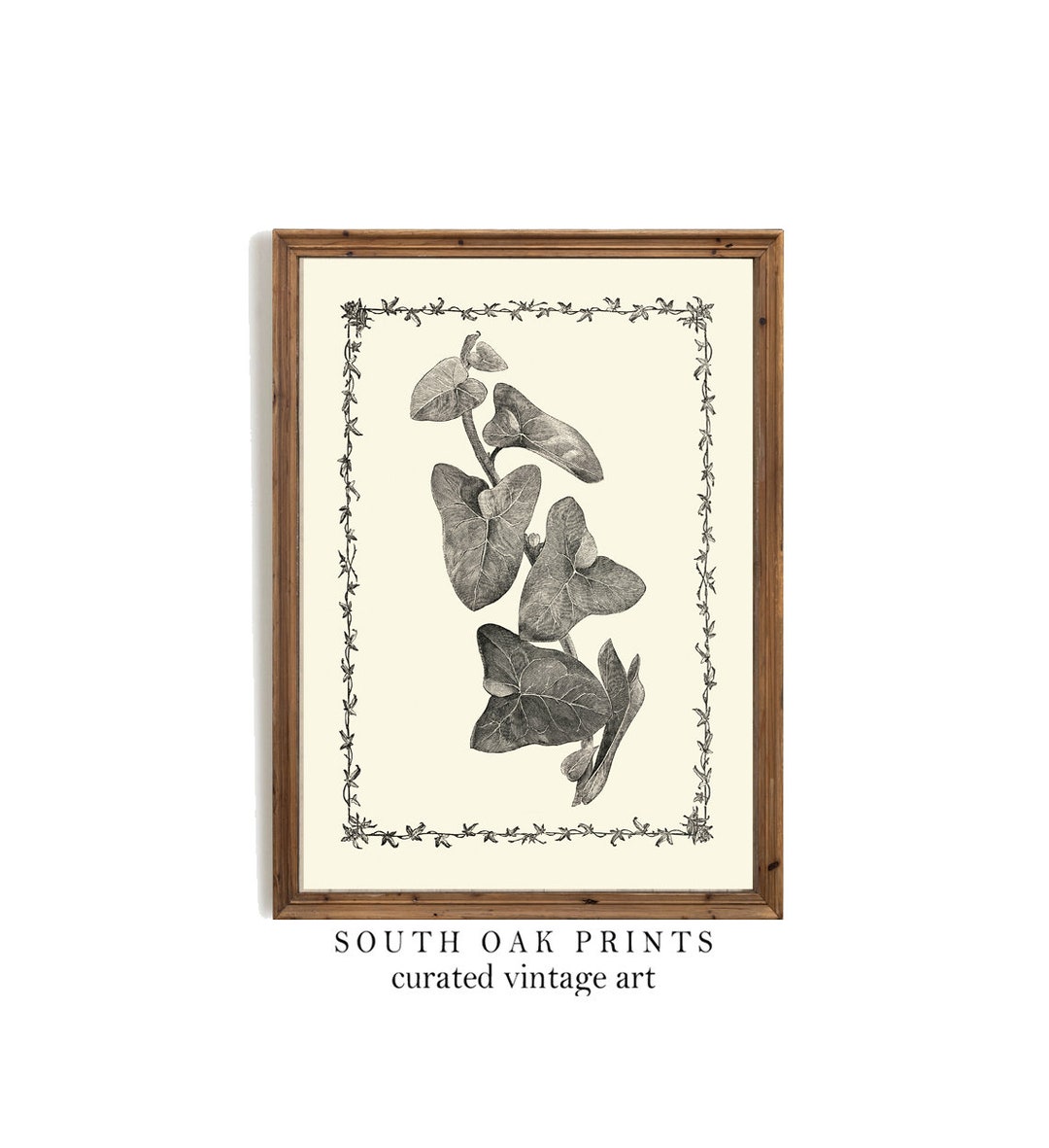 Vintage Ivy Print | Botanical Drawing Illustration Painting | PRINTABLE ...