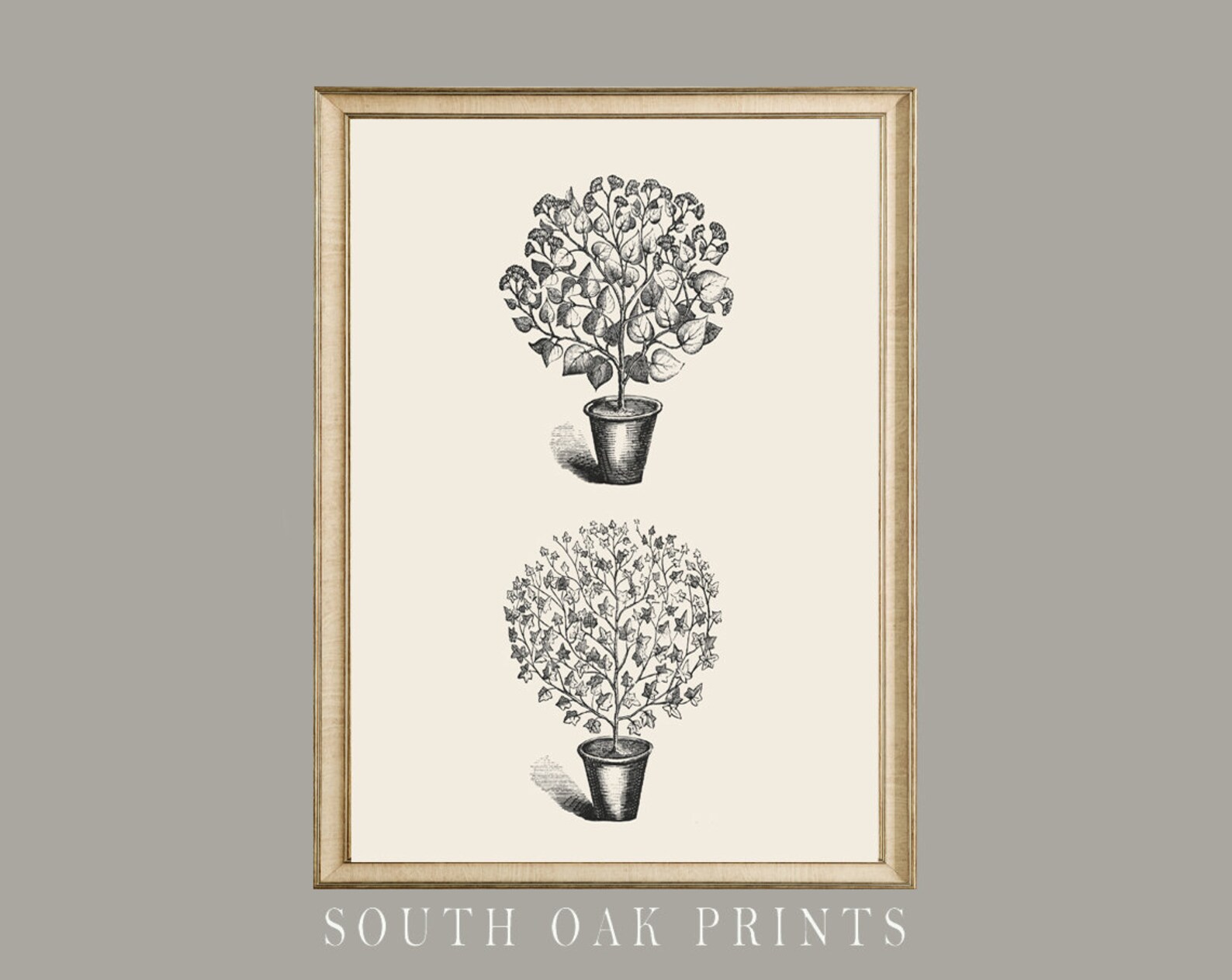 Vintage Ivy Botanical Print PRINTABLE Antique Flower - Etsy