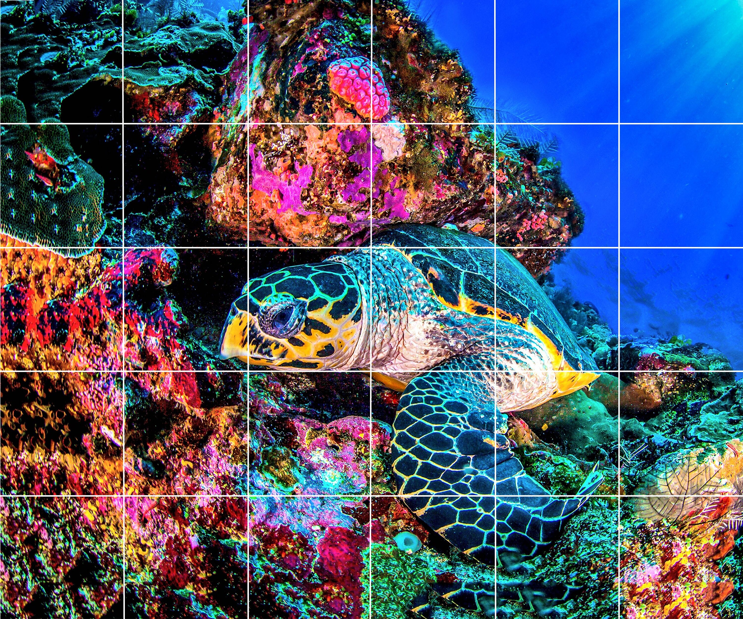 Sea Turtle 5 Mural Home Decor Interior Design Backsplash Wall Murals ...