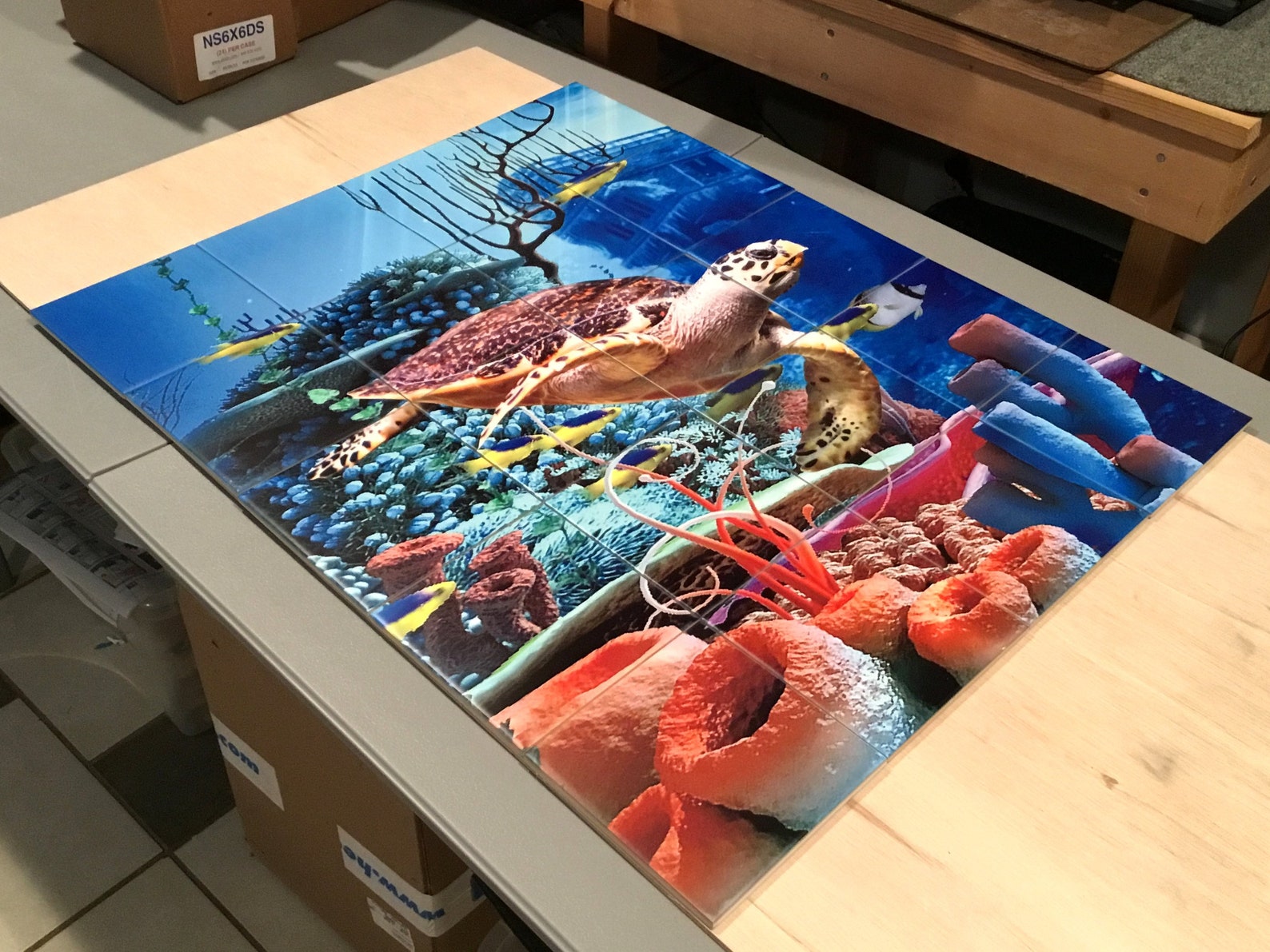 Agave 2 Desert Tile Murals Home Decor Wall Murals Backsplash ...