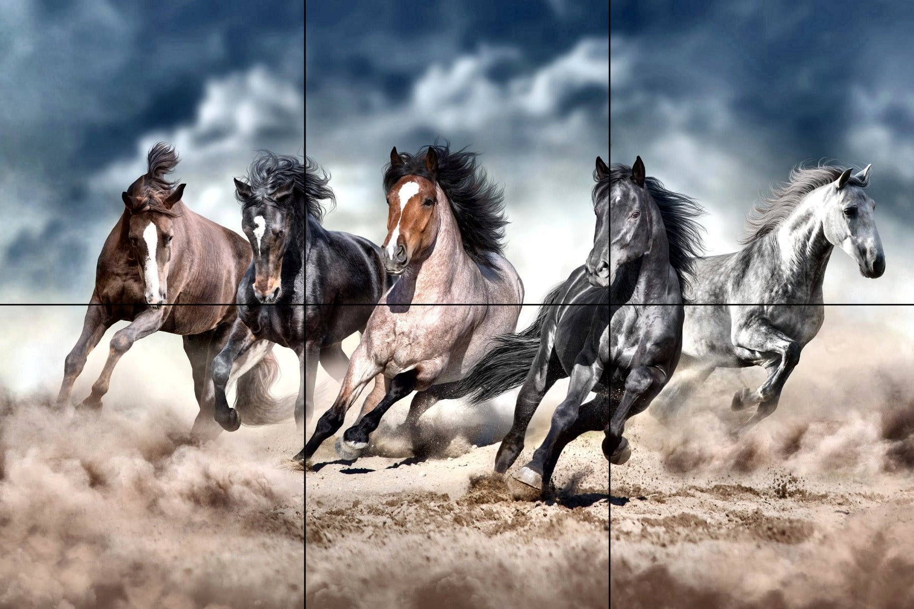 Wild Horse Murals Home Decor Wall Murals Backsplash Interior Design ...