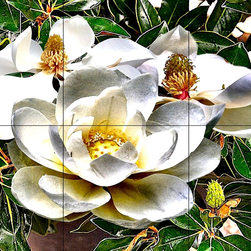 Magnolia Mural - Etsy