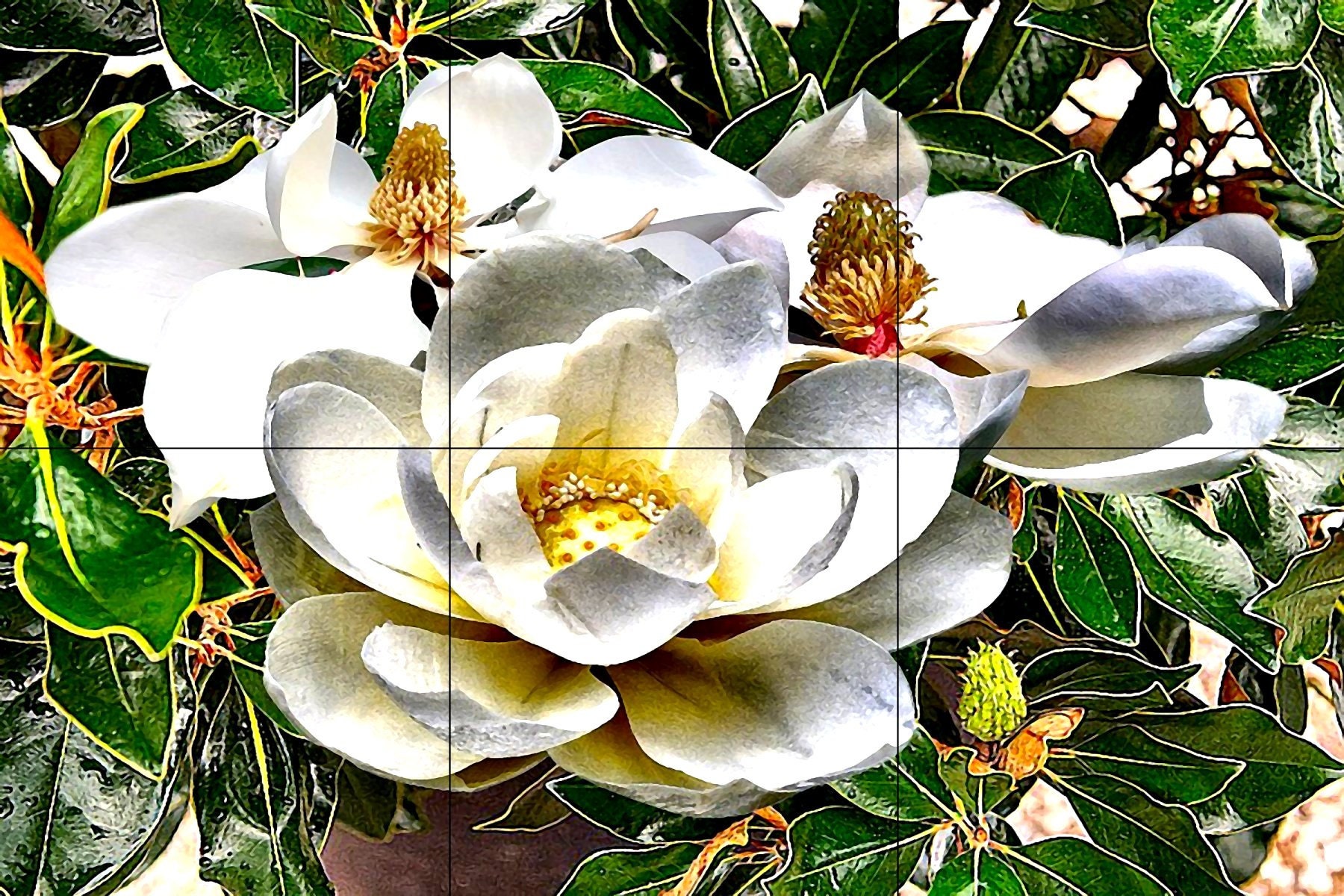 Home Decor Wall Murals Backsplash Interior Design Kitchen Murals Flower ...