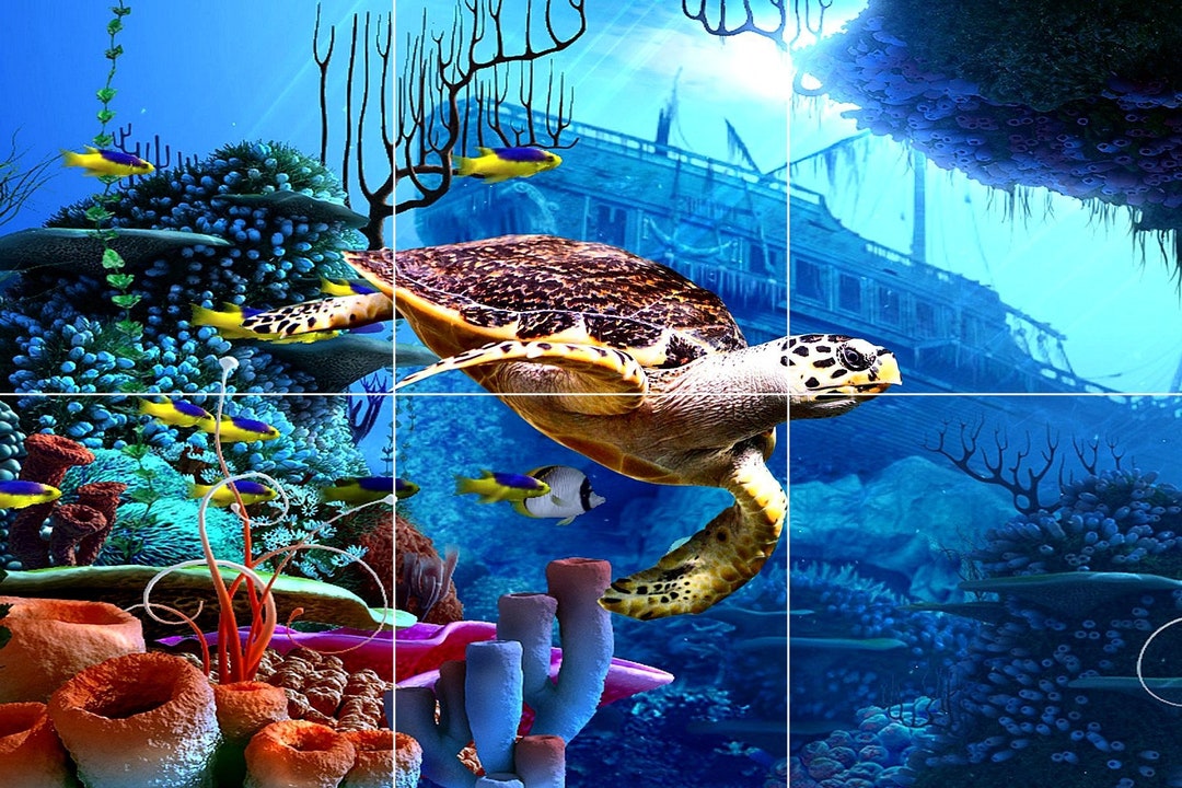 Sea Turtle Murals Home Decor Wall Murals Backsplash Underwater Scenes ...