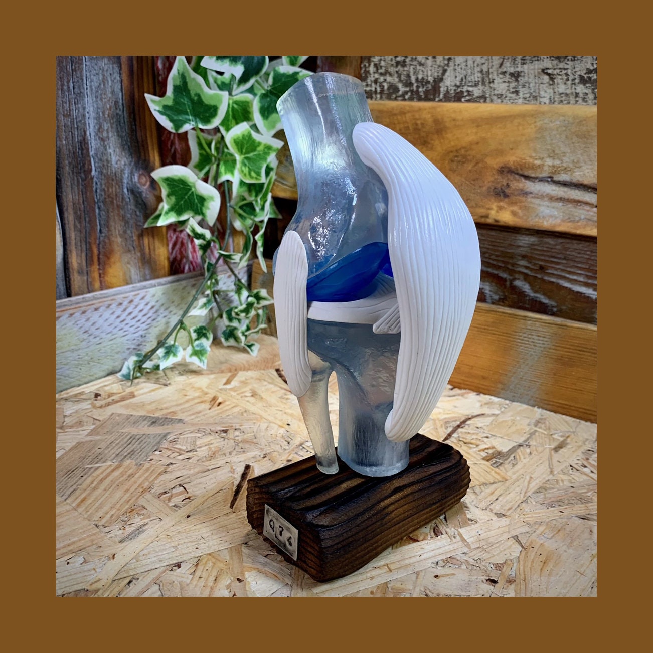 Anatomical Model Medical Model of Human Knee Joint. Homemade - Etsy