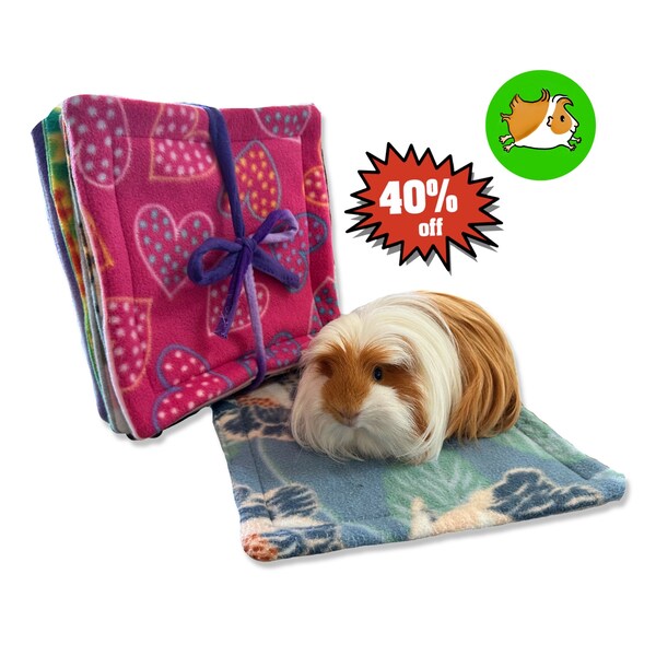 Guinea Pig Accessories - Etsy