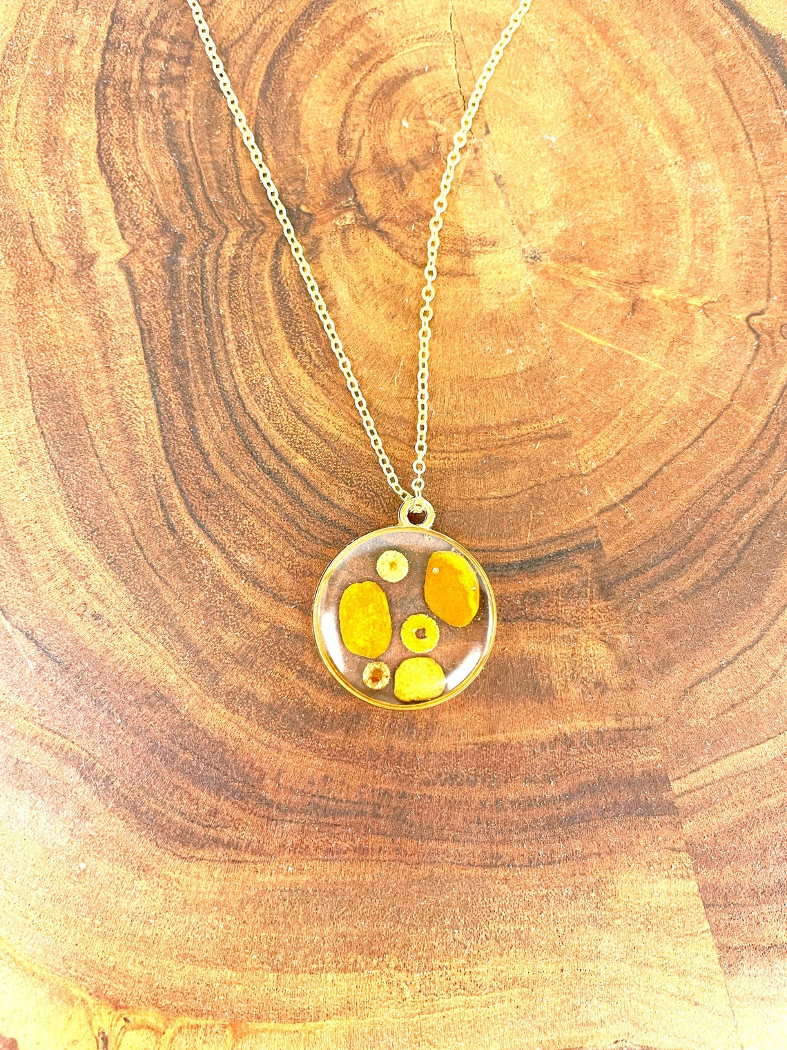 Lake Stone and Fossil in Epoxy Resins Gold Circle Necklace - Etsy