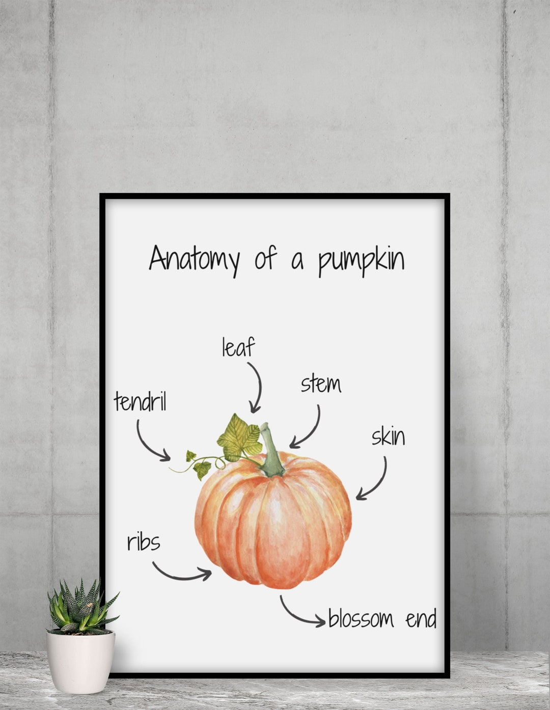 Anatomy of a Pumpkin, Pumpkin Print, Printable Wall Art, Teacher ...