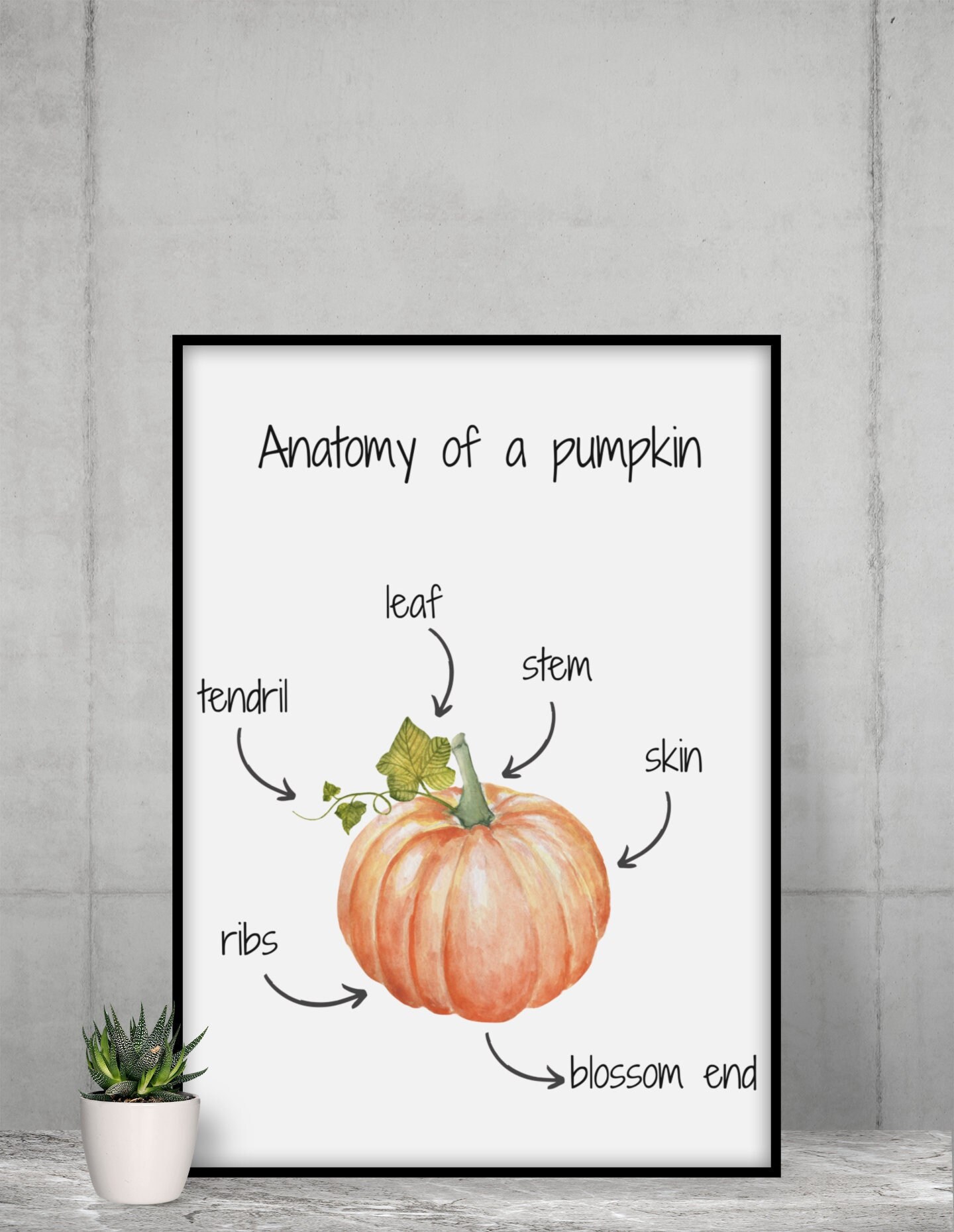 Anatomy of a Pumpkin, Pumpkin Print, Printable Wall Art, Teacher ...