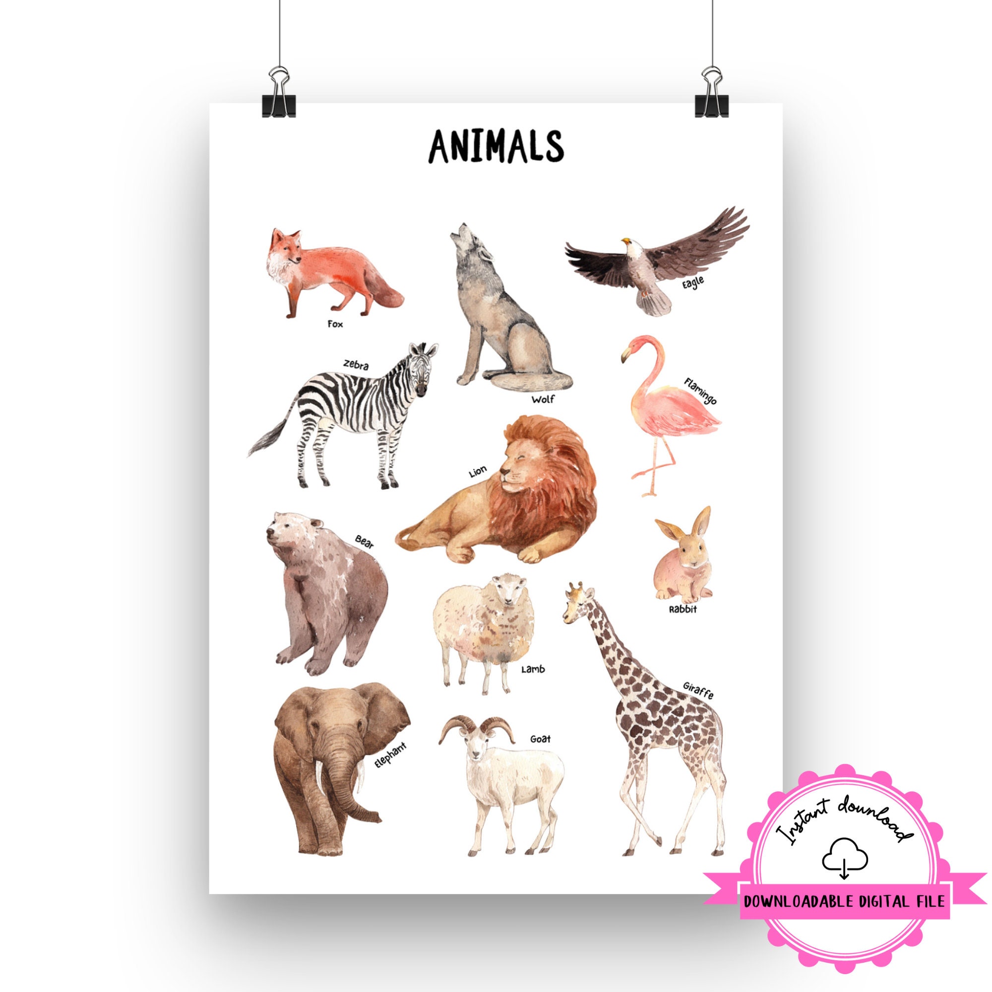 Educational Animal Poster, Printable Animal Poster, Preschool Poster ...