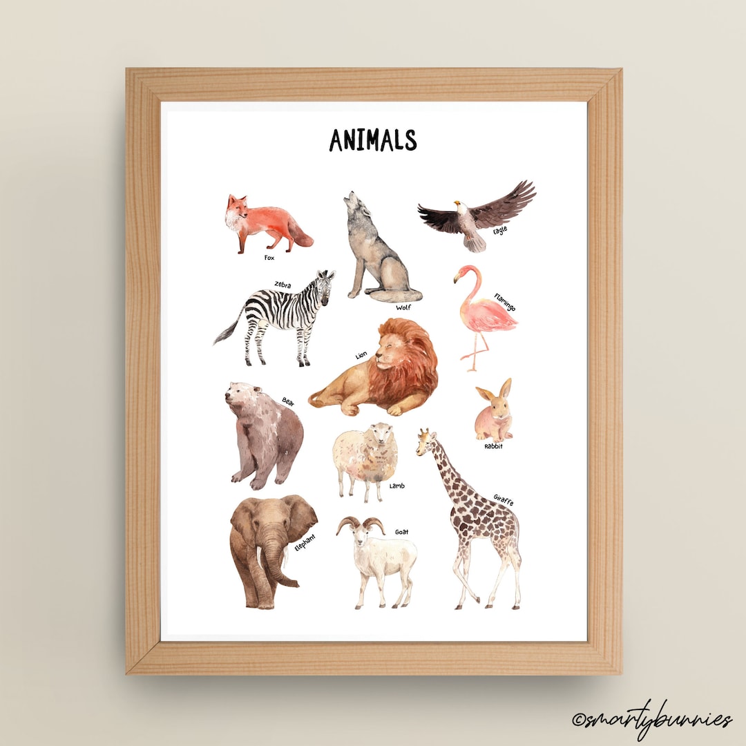 Educational Animal Poster, Printable Animal Poster, Preschool Poster ...