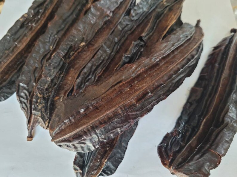 Prekese, Aidan Fruit, Tetrapleura Tetraplera 5 Pieces in a Bag - Etsy