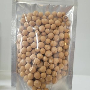 Bambara Beans / Okpa Beans / Congo Goober / Njugo Beans / Jugo Bean ...