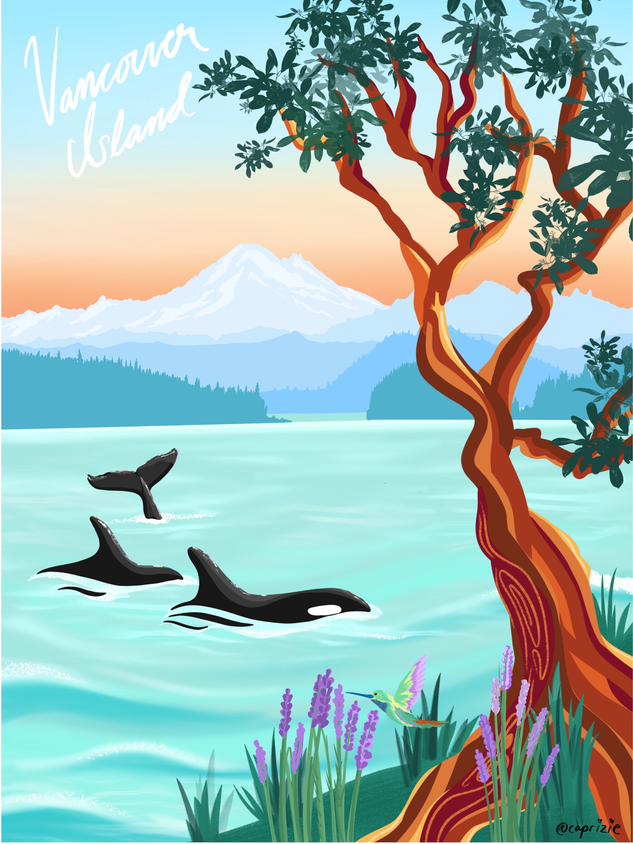 Vancouver Island Poster Vancouver Island Print West Coast - Etsy