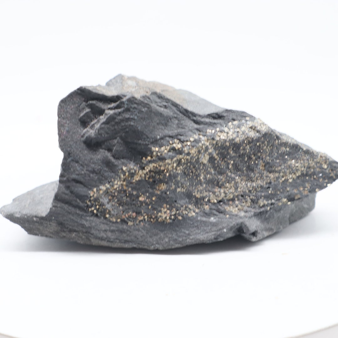 Buy Mosel Slate With Pyrite From Bendisberg, Mineral Cluster, Crystal ...